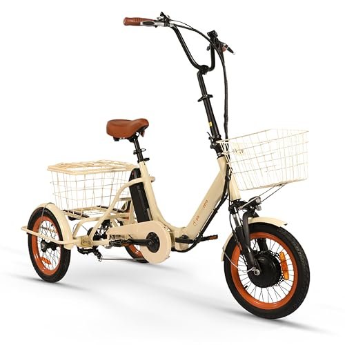 Best Adaptive All-Terrain Trikes For Easy Transit And Powerful ...