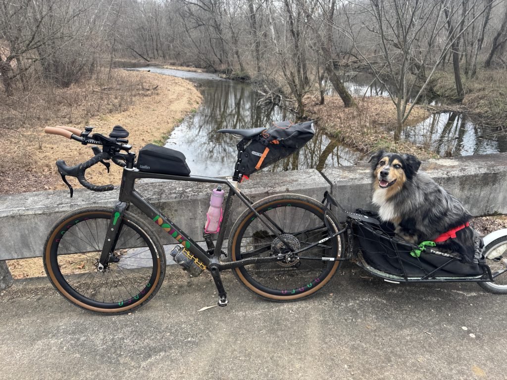 How To Protect Your Bike From Theft During Bikepacking: Essential Tips ...