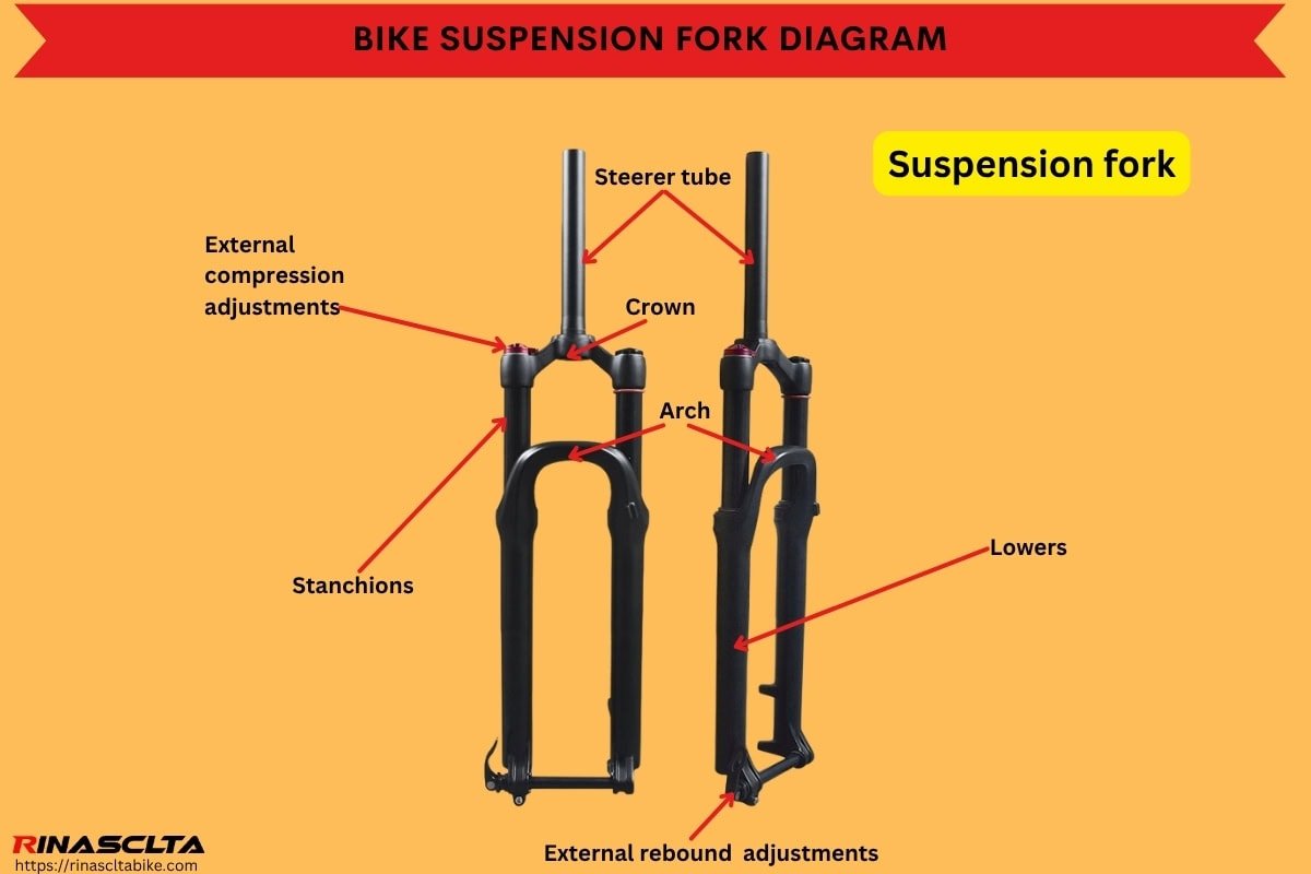 Road Bike Fork Types Explained: Expert Guide Unveiled - BikeTro